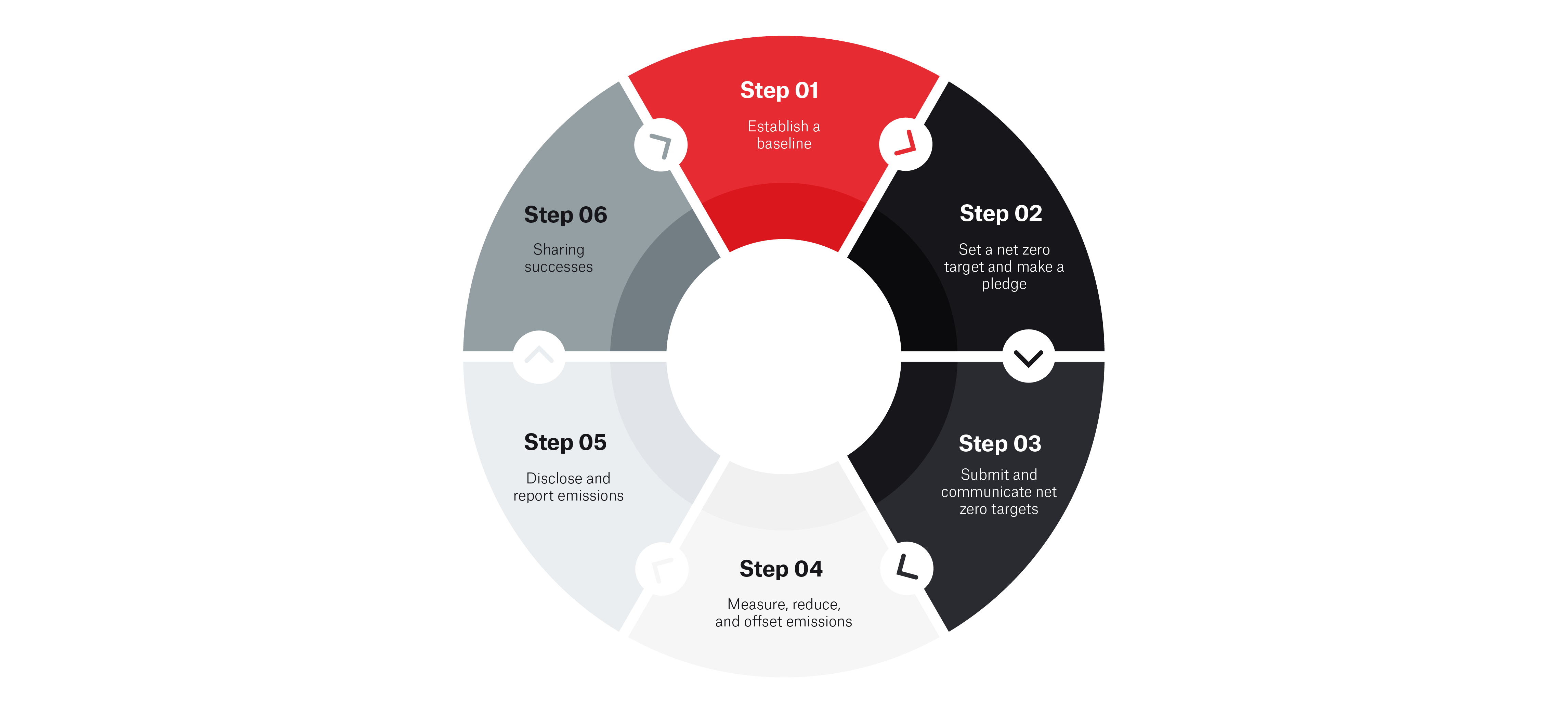 Net zero journey: The complete process to becoming a Net Zero Company