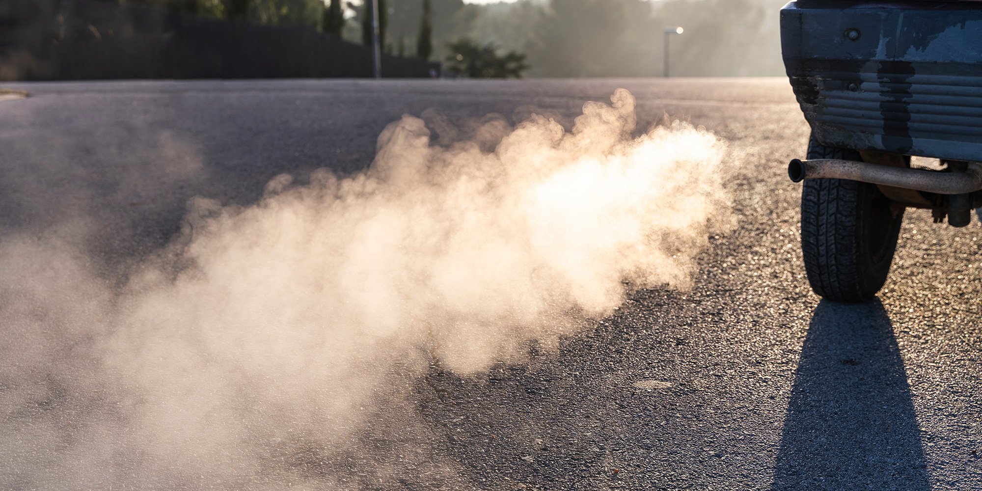 Understanding, measuring & mitigating greenhouse gases for businesses