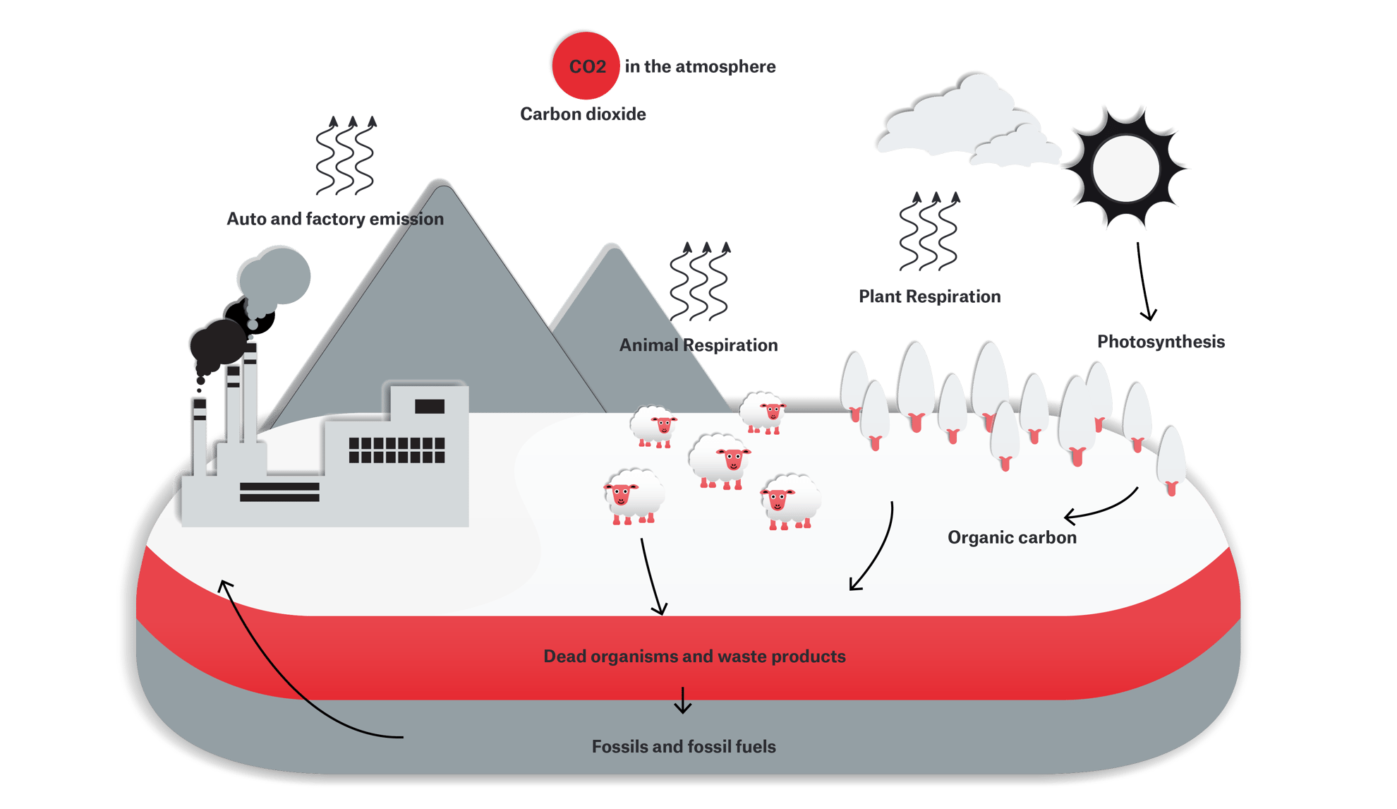 Comprehensive Sustainability Glossary: Key Terms and Concepts
