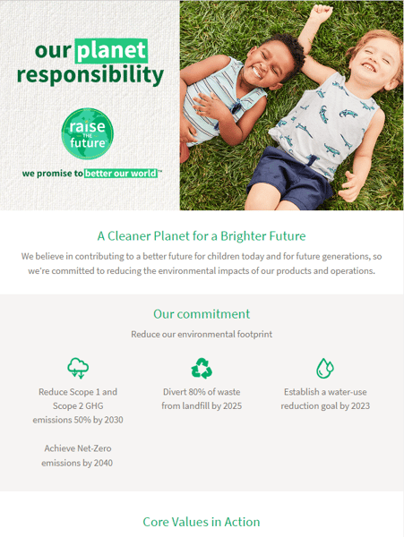 Net zero journey: The complete process to becoming a Net Zero Company