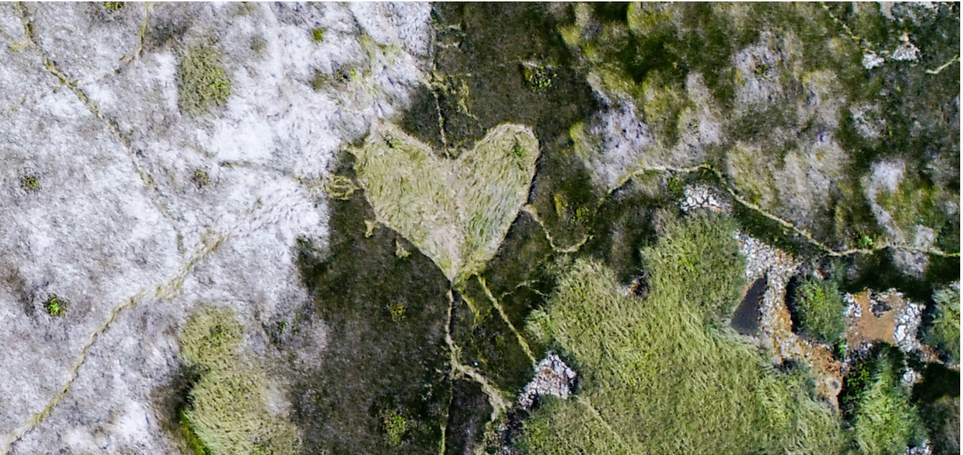 BrainBox AI | AI Building management platform for HVAC optimization